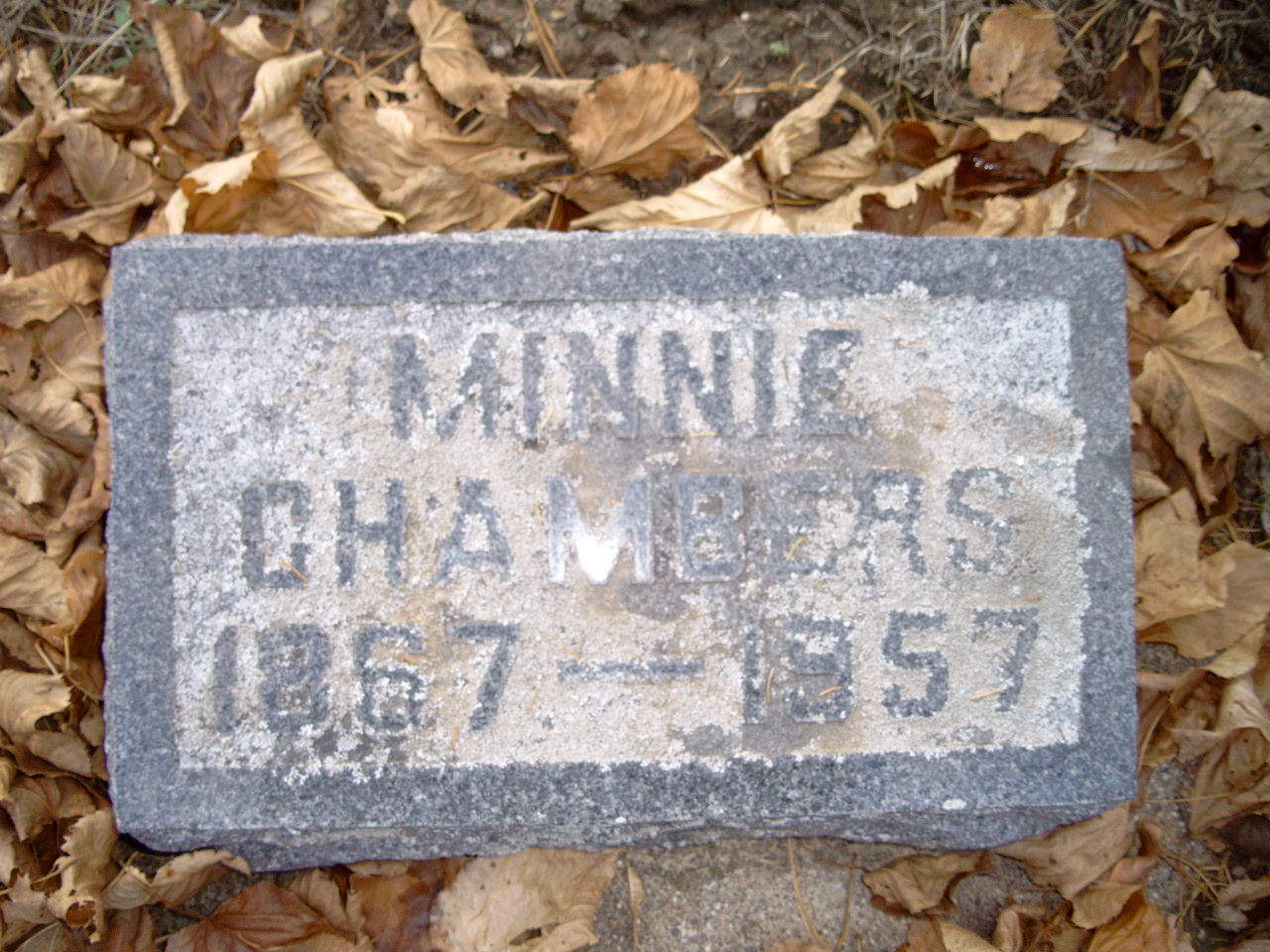 Updates for Clark County, WI Genealogy, History & Ancestry