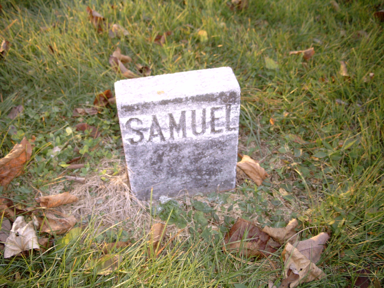 Updates for Clark County, WI Genealogy, History & Ancestry